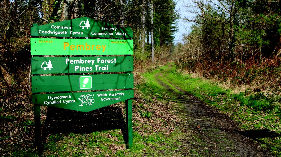 Cabinet approves funding to provide electricity for pitches at Pembrey ...