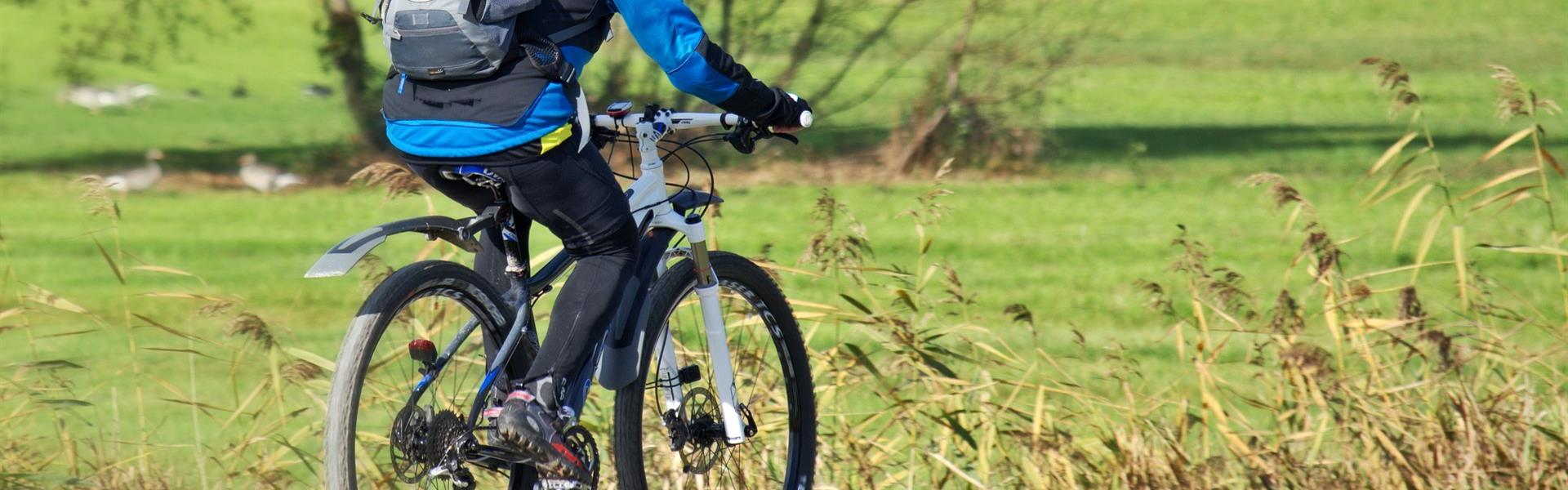 Plans for Rhondda Fach active travel route revealed - Herald.Wales