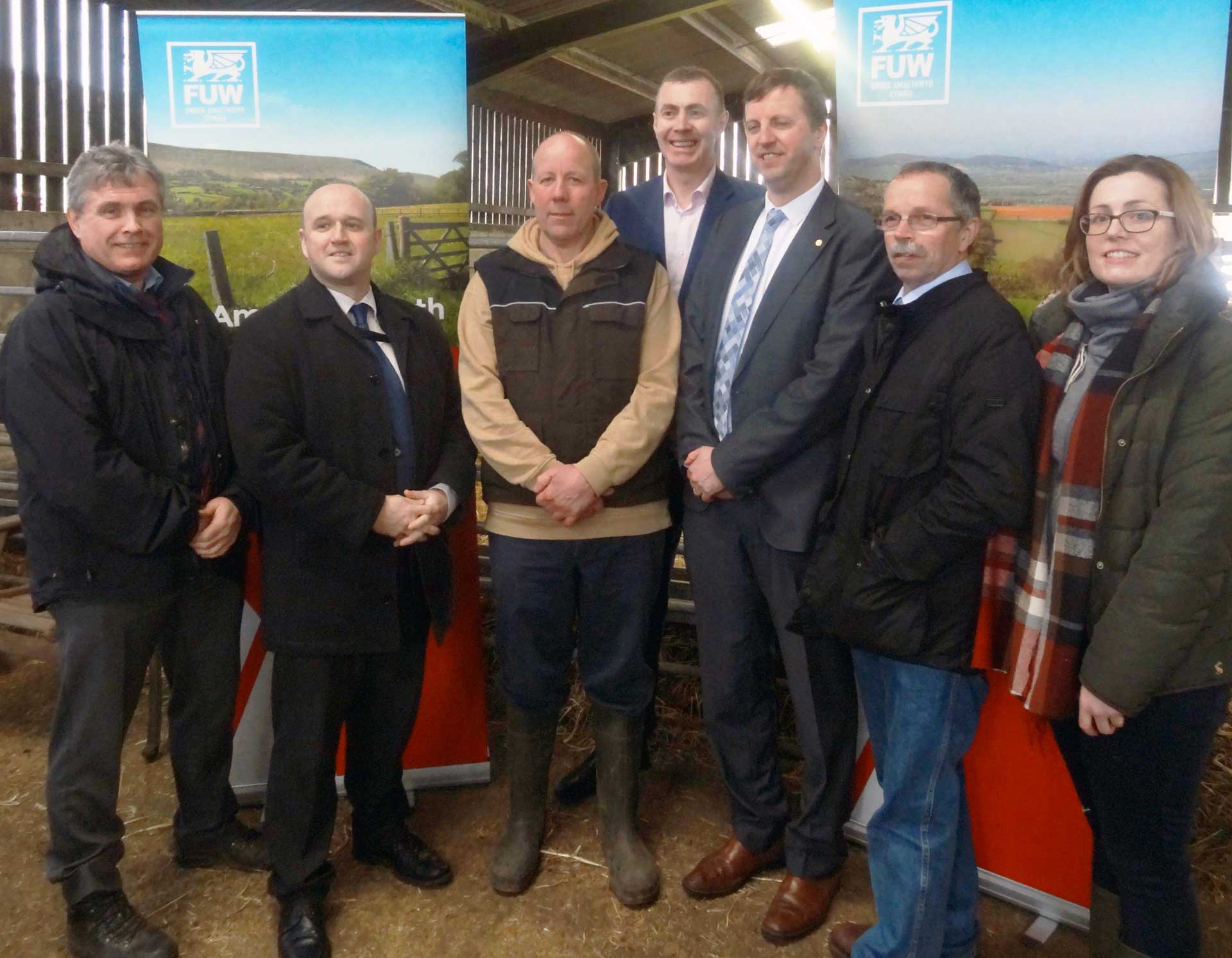 Sheep's importance to countryside highlighted - Herald.Wales