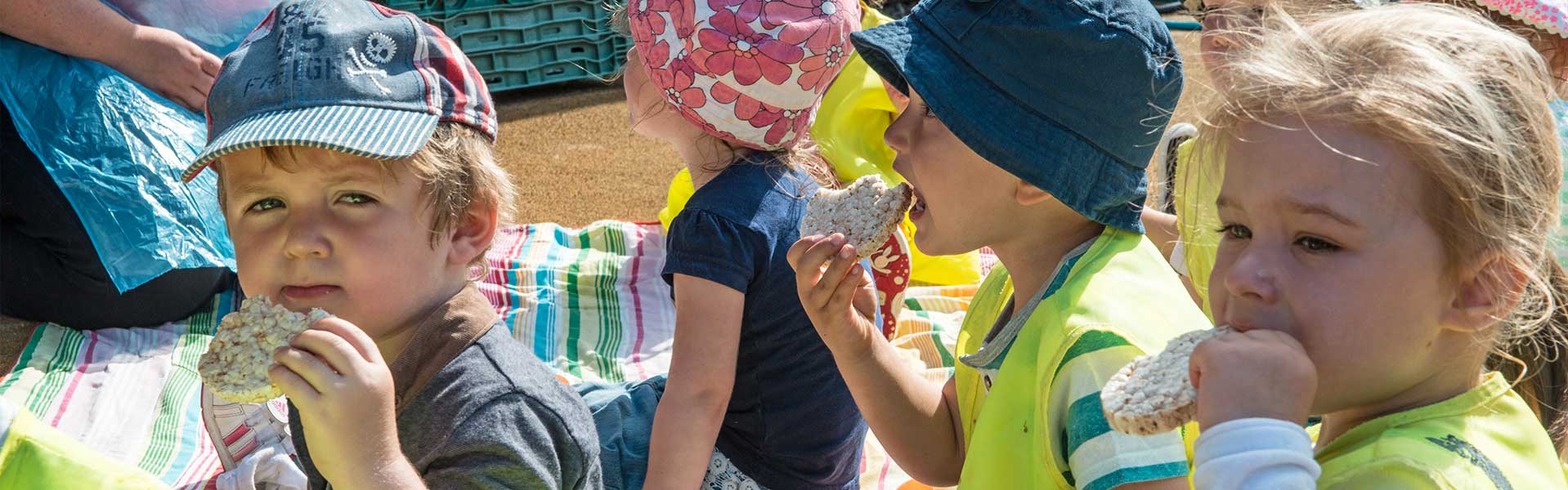 Flying Start needs 'significant change' - Herald.Wales