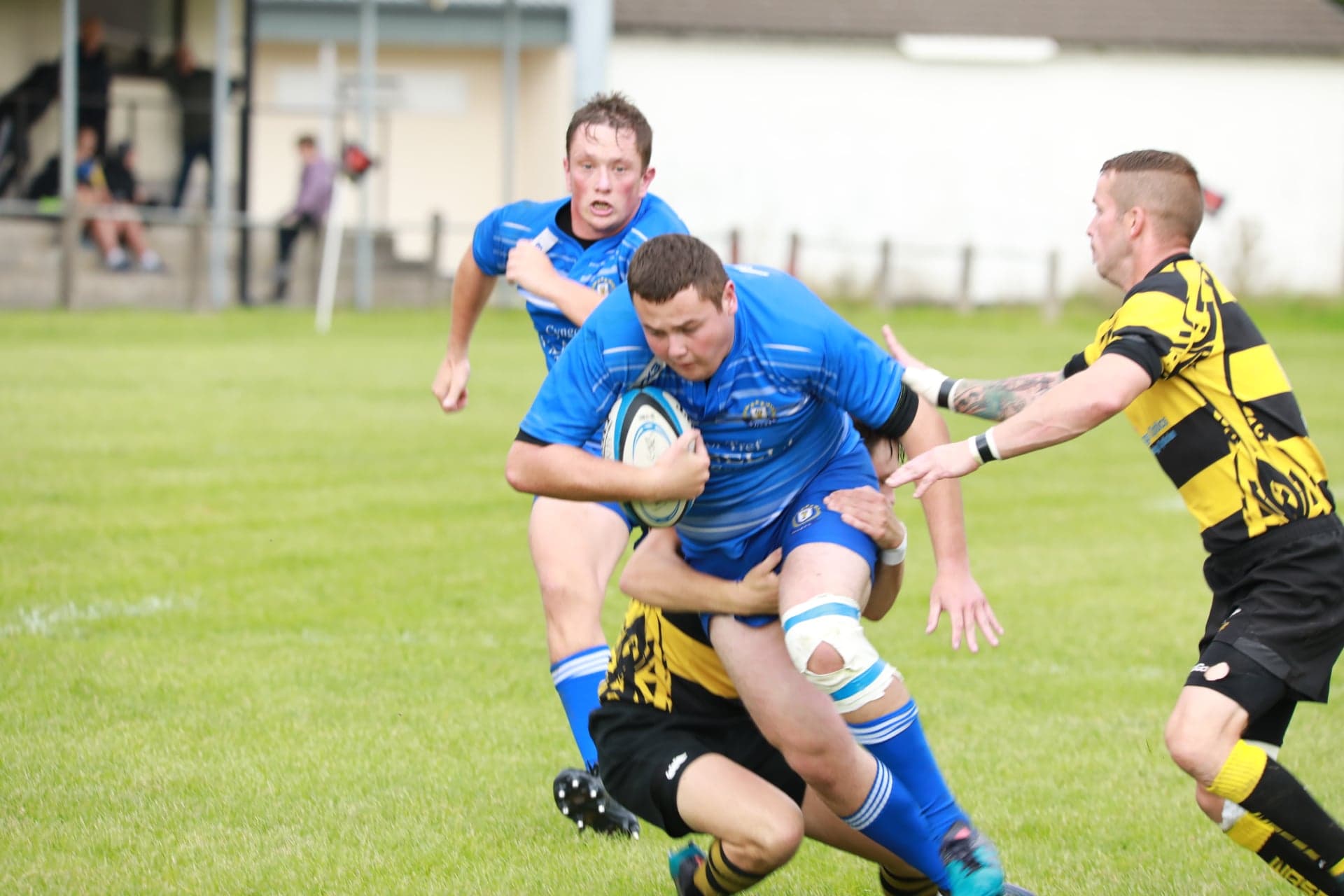 Stars edge out Wasps - Herald.Wales