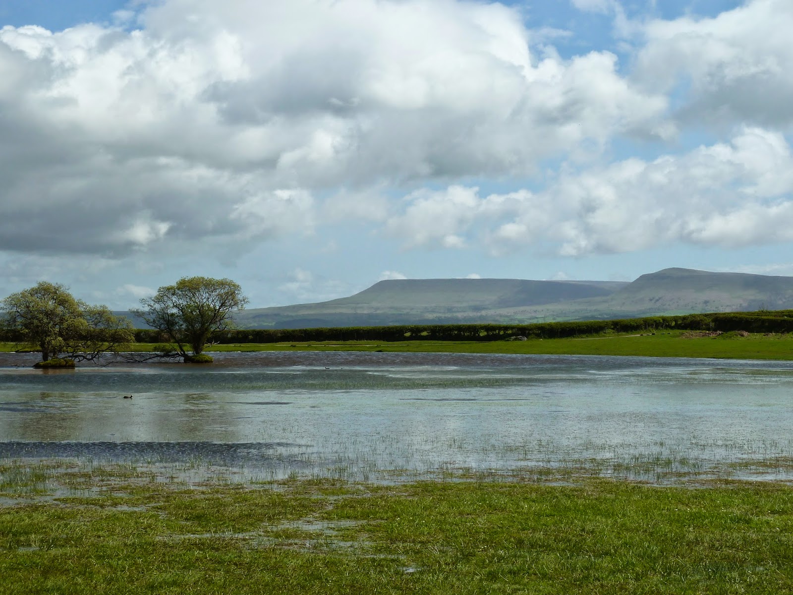 Body of 42-year-old man found near the village of Brechfa - Herald.Wales