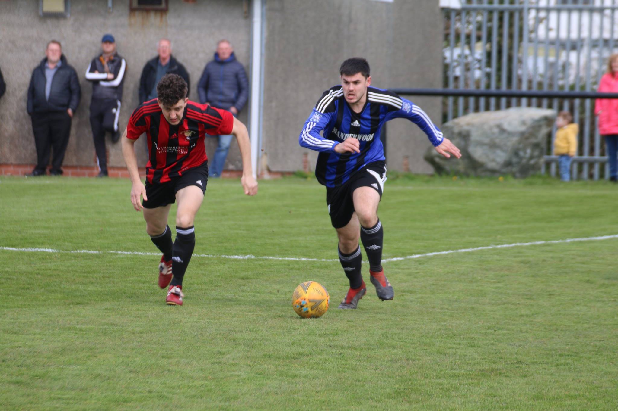 Vikings end Goodwick's title hopes - Herald.Wales
