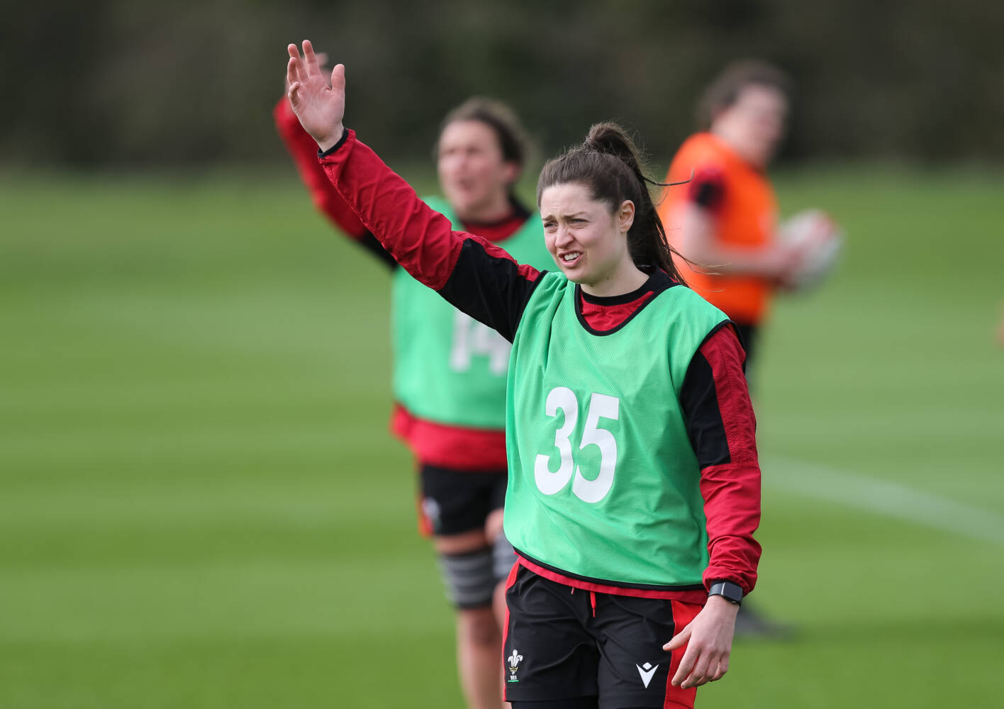 Wilkins to get 50th cap against Ireland - Herald.Wales