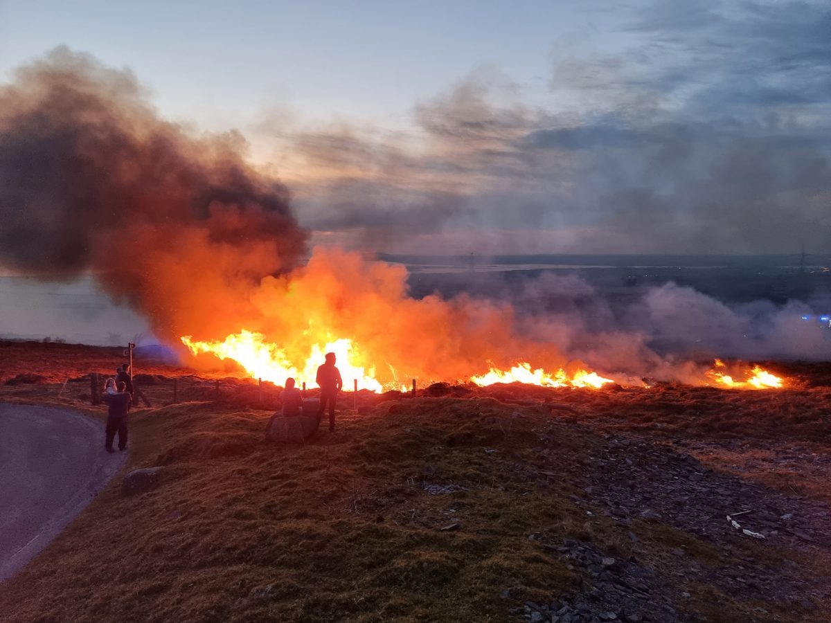 Fire service believes Gwynedd gorse fire was started deliberately ...