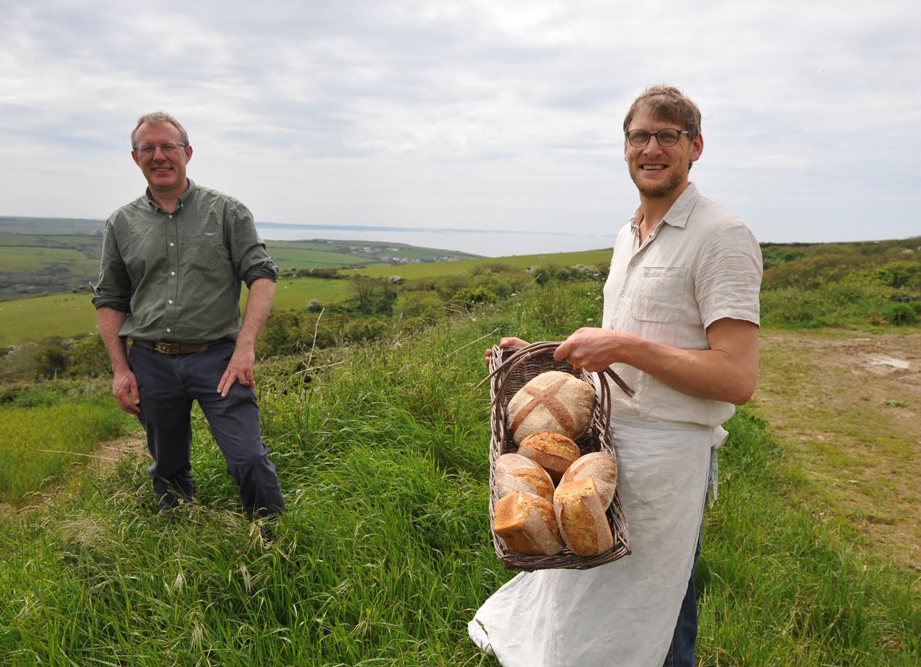 Bakers trial ancient grain varieties being grown in Wales - Herald.Wales