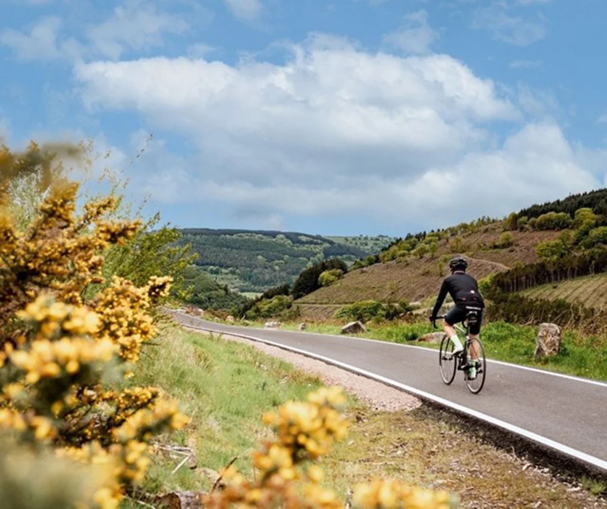 Cwmbran Forest Drive reopens - Herald.Wales