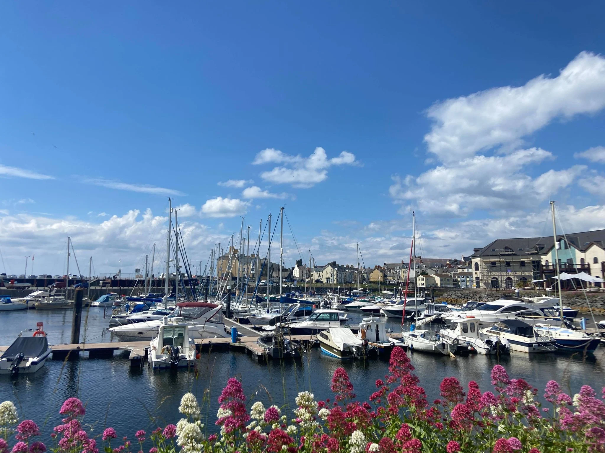 Council submits application for Aberystwyth harbour funding - Herald.Wales