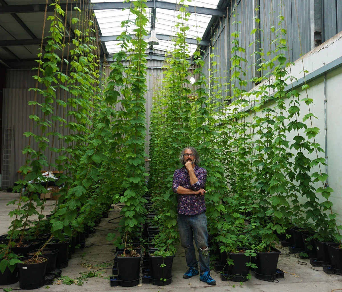 UK's first hydroponic hop farm expands to mid Wales - Herald.Wales