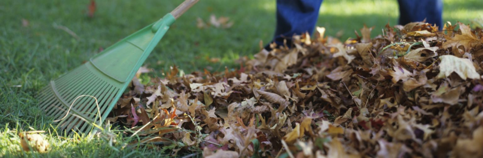 Get ready for spring: 2026 garden waste recycling collections ...