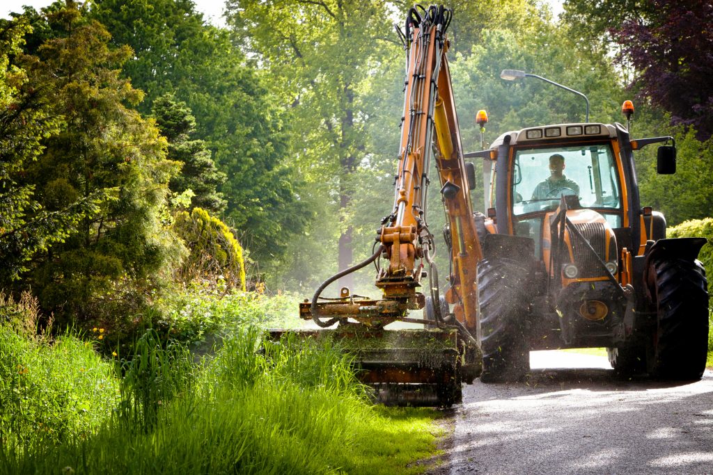 Annual grass verge cutting will consider biodiversity, council promises ...