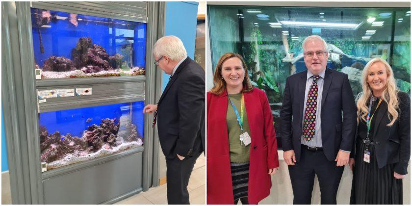 Plans to turn Coleg Cambria’s Northop Campus into a ‘Centre of ...