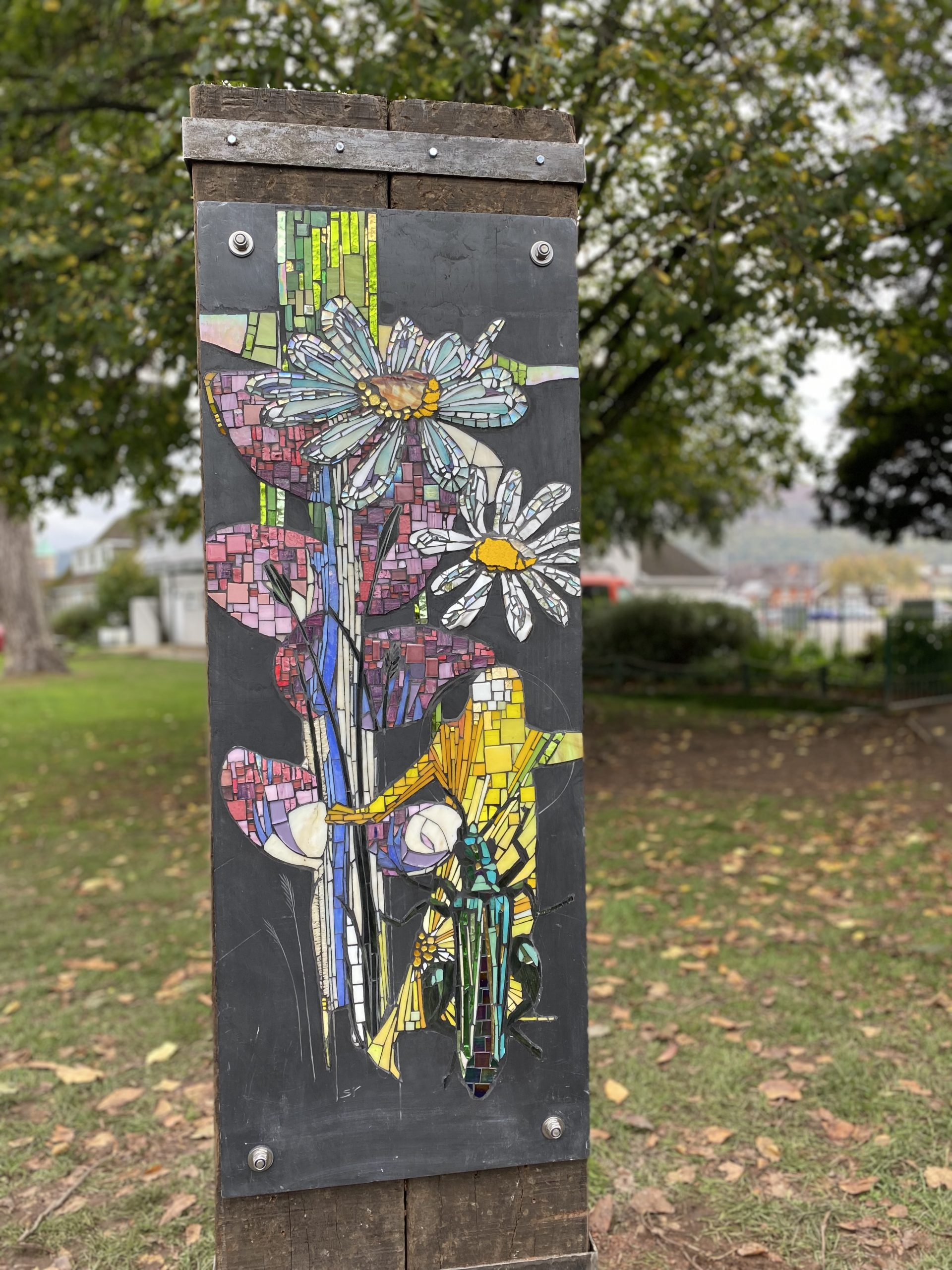 Press release – Community artwork inspired by nature - Herald.Wales