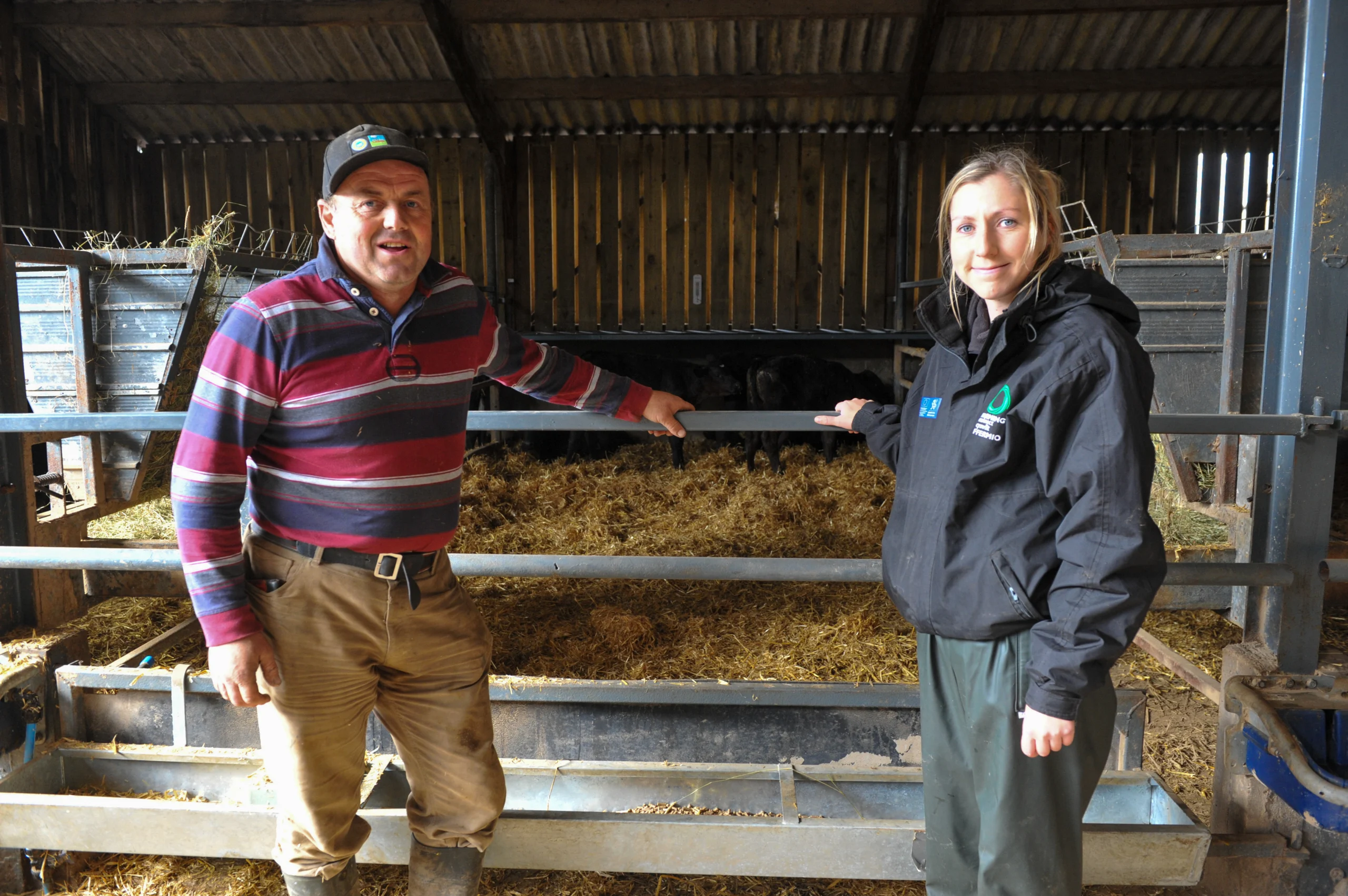 Calf pneumonia cases down to 10% after housing adjustments - Herald.Wales