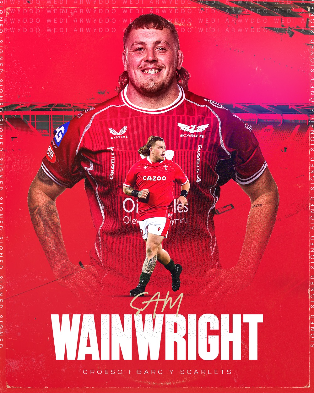 Scarlets sign Wales international Sam Wainwright - Herald.Wales
