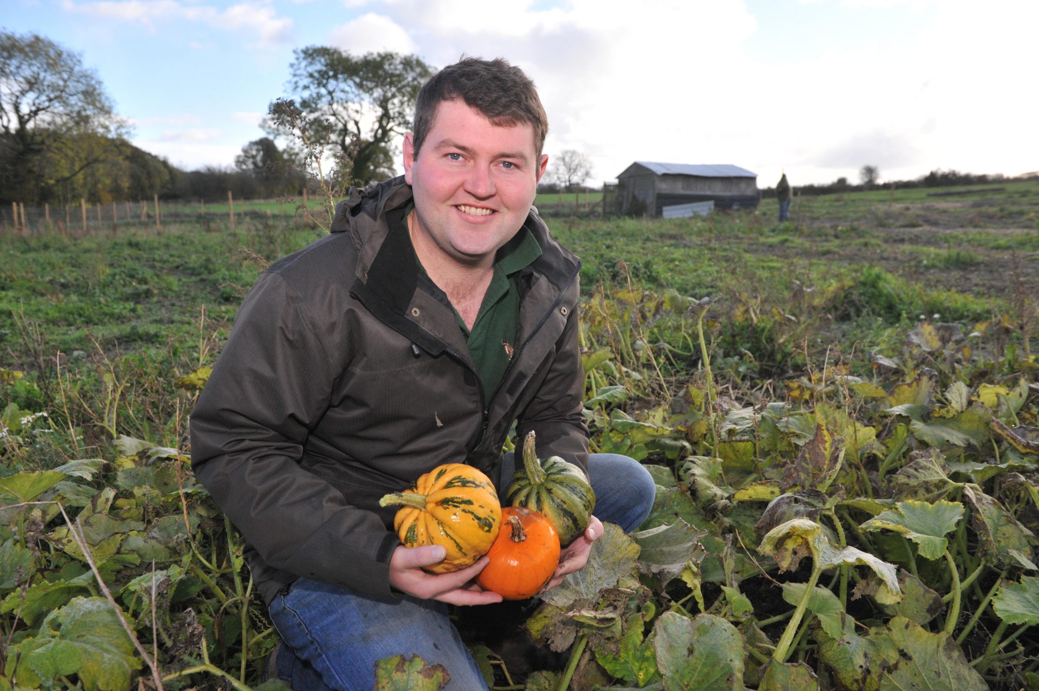 Flintshire farmer Builds a destination experience around existing ...