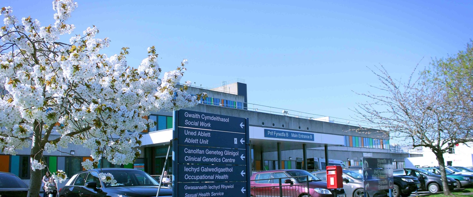 Health Board must slash £20m in costs to secure £82m from Welsh ...