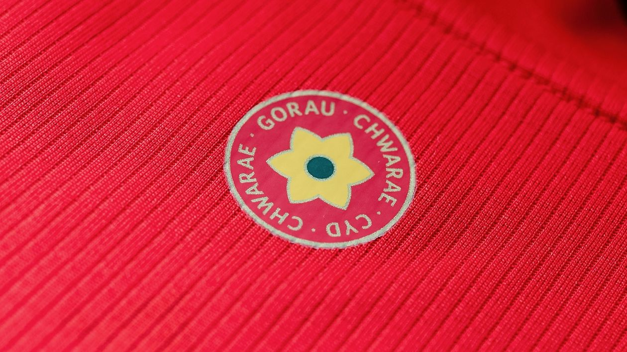 Equal pay agreement reached between FAW and national teams - Herald.Wales