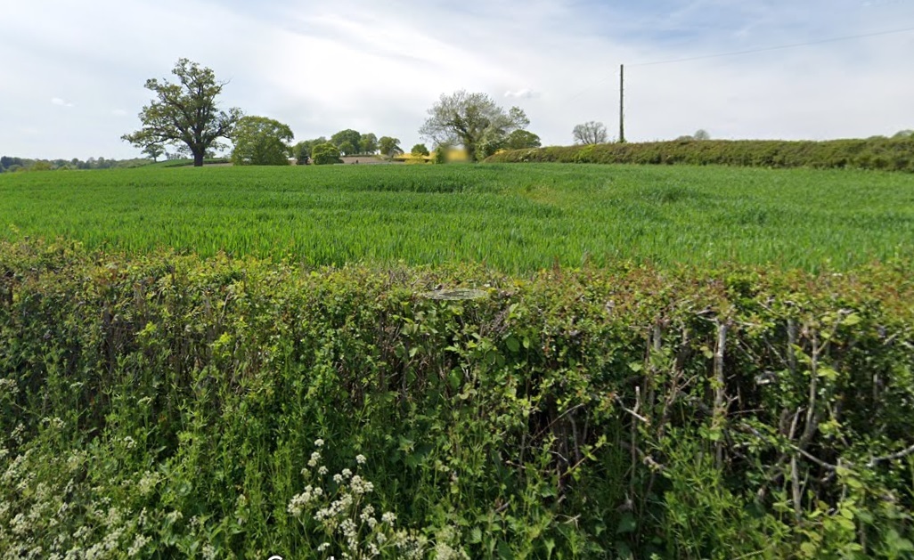 Concerns consultation is still live as Kerry chicken farm is ...