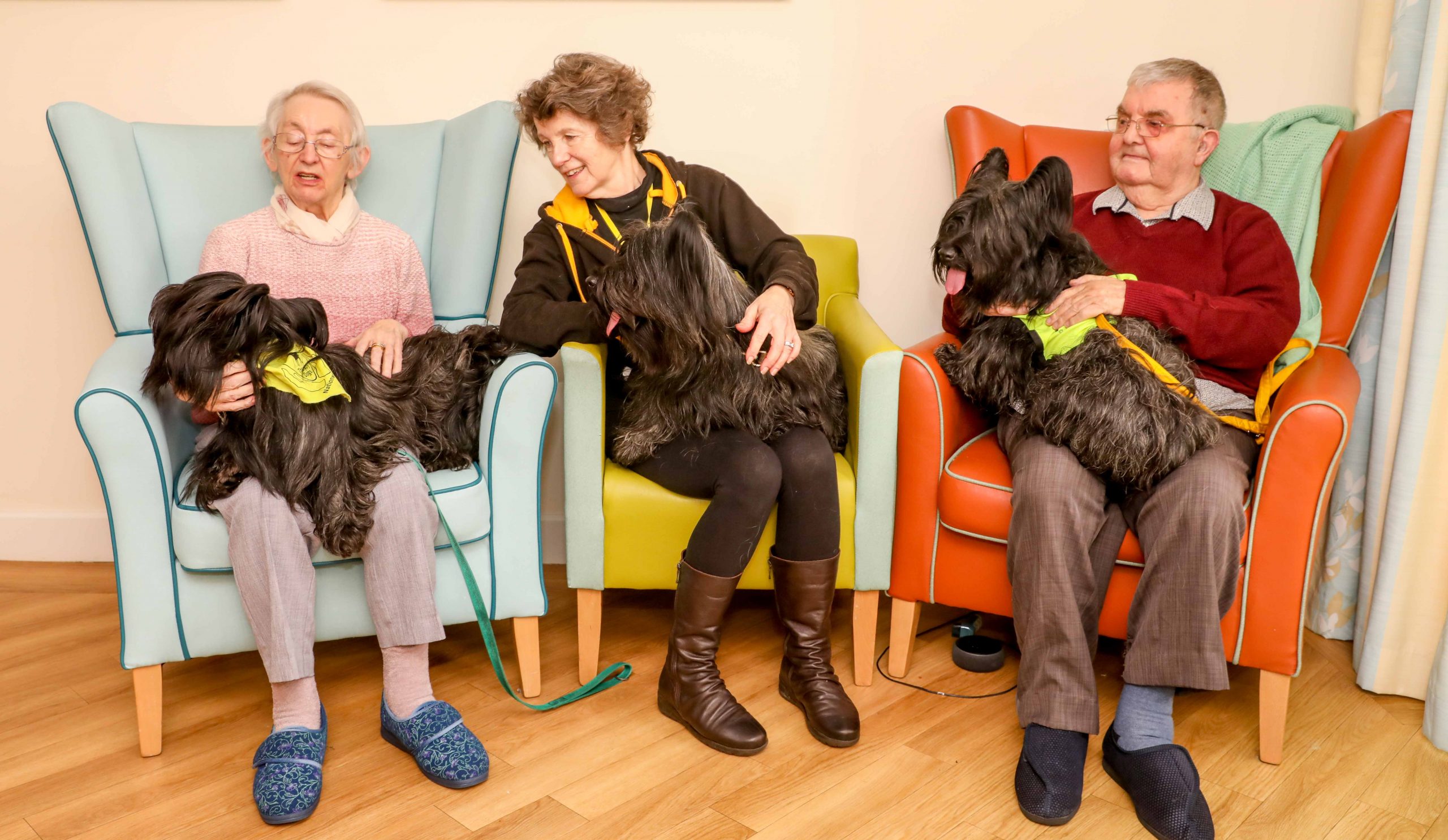 New four-legged friends make care home residents feel better at a ...