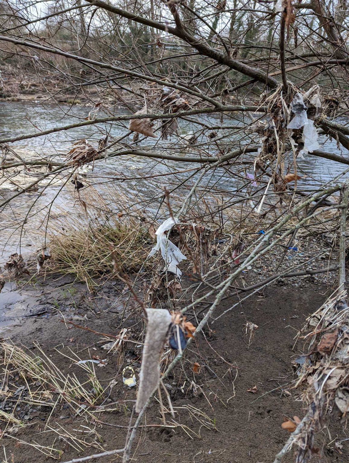 Residents at Cardiff park spend days helping to clean up riverbank mess ...
