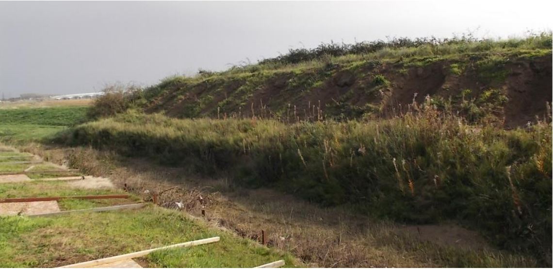 Severnside Firing Range footpath - warning to walkers - Herald.Wales