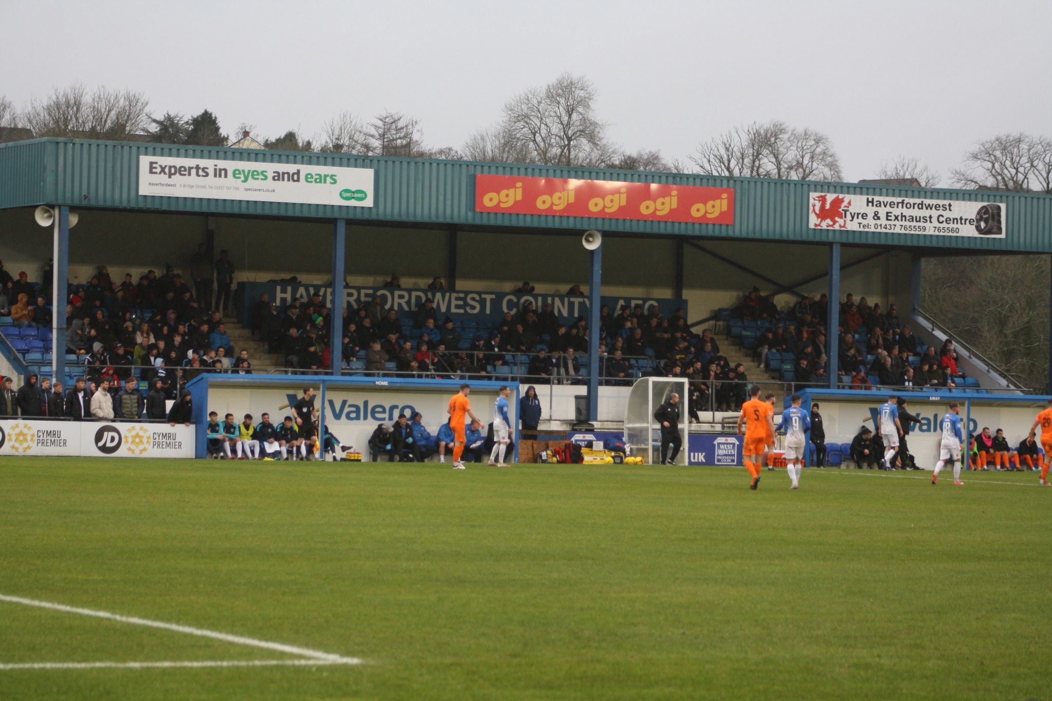 Bluebirds beat Flint to set new club record - Herald.Wales