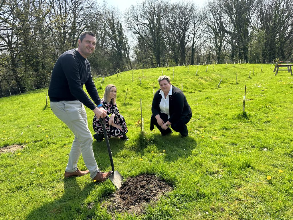 Local Company hits staff milestone and plants 400 trees - Herald.Wales