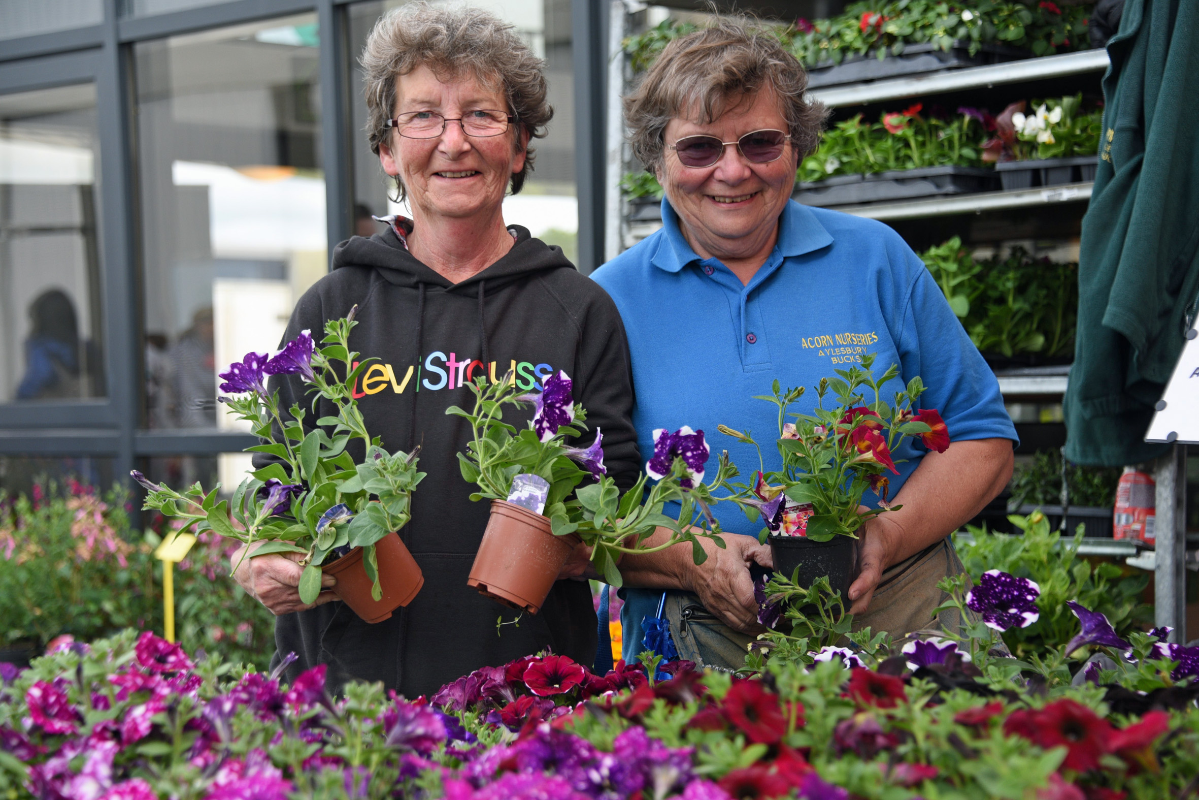 Family favourite Smallholding and Countryside Festival returns - Herald ...