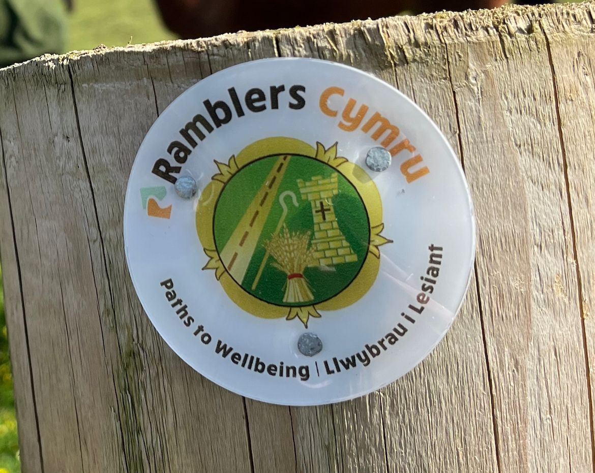 A week of Welsh offer celebrations - Herald.Wales