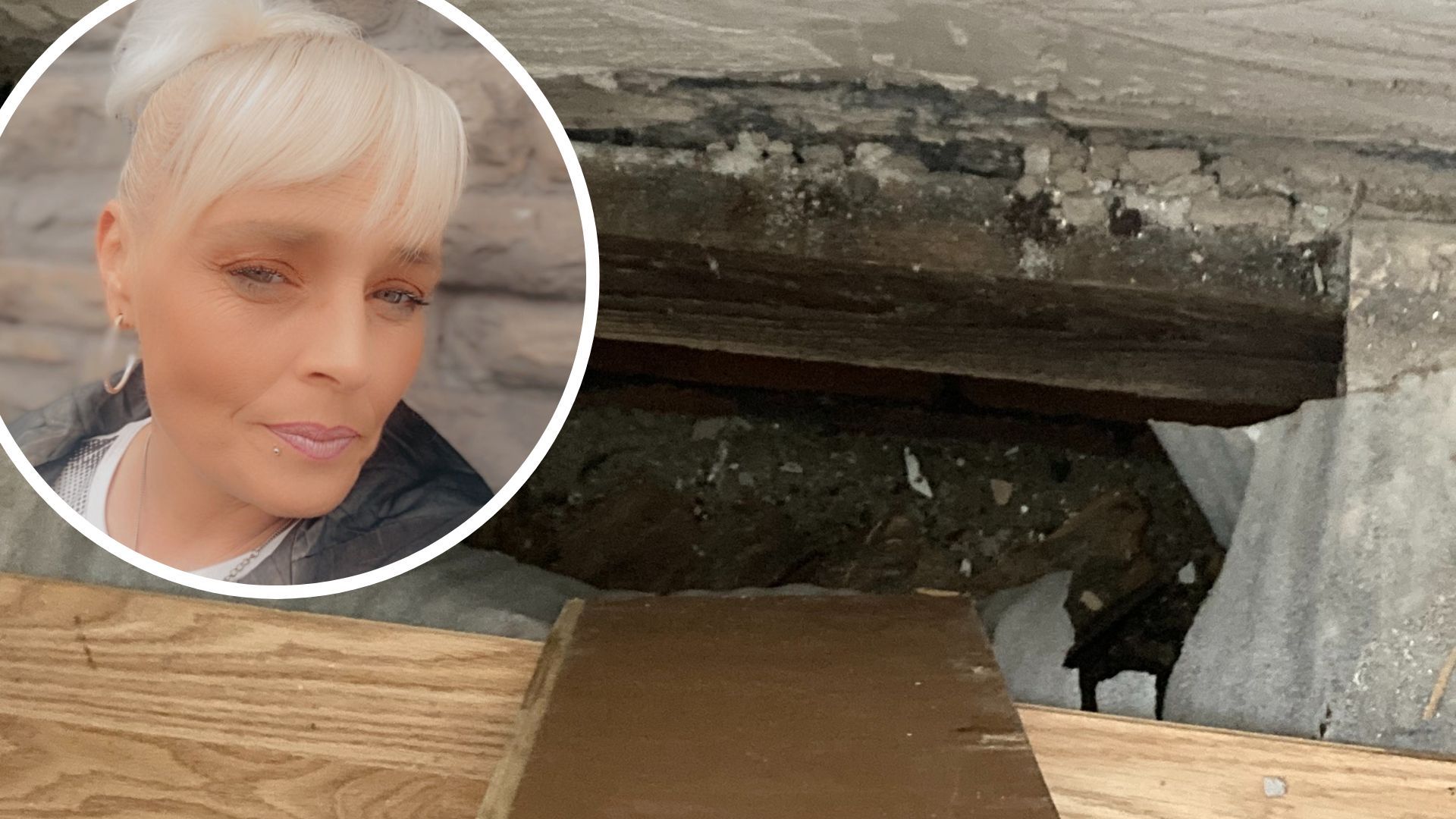 Cardiff woman living in ant-infested house waiting weeks for repairs ...