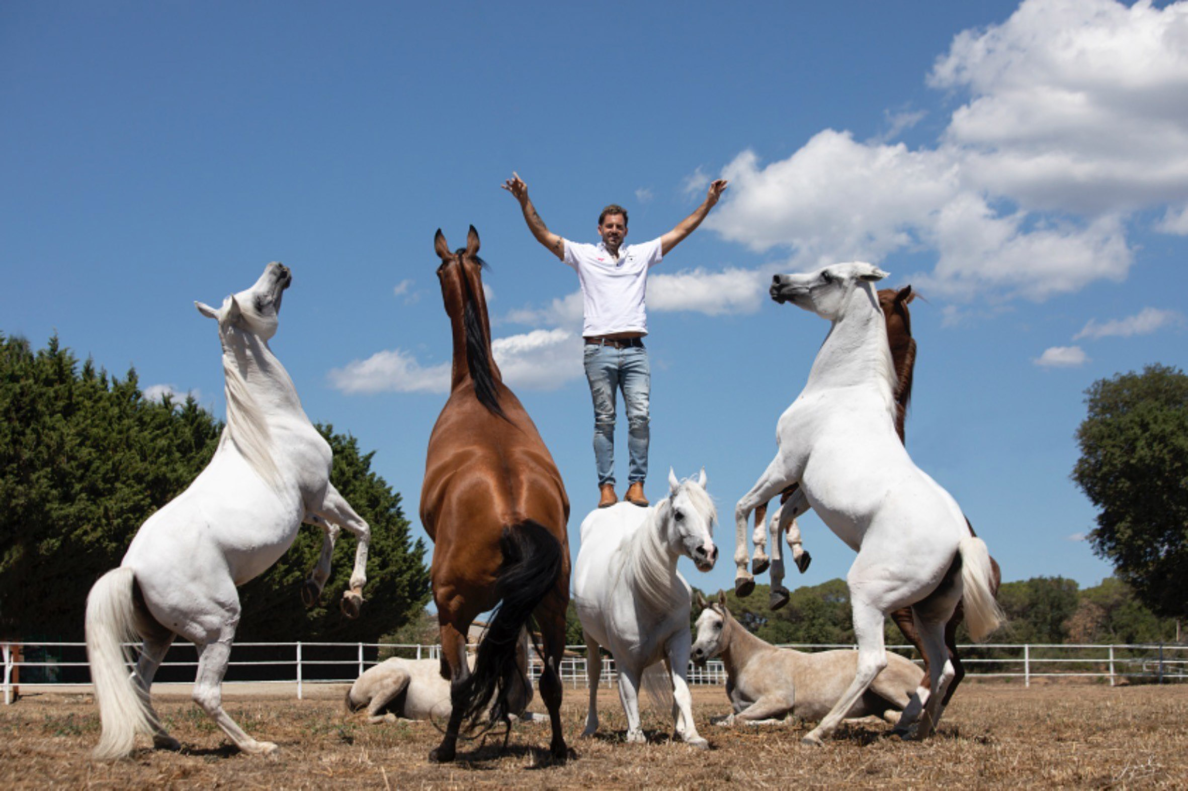 Royal Welsh Show returns with action-packed programme - Herald.Wales