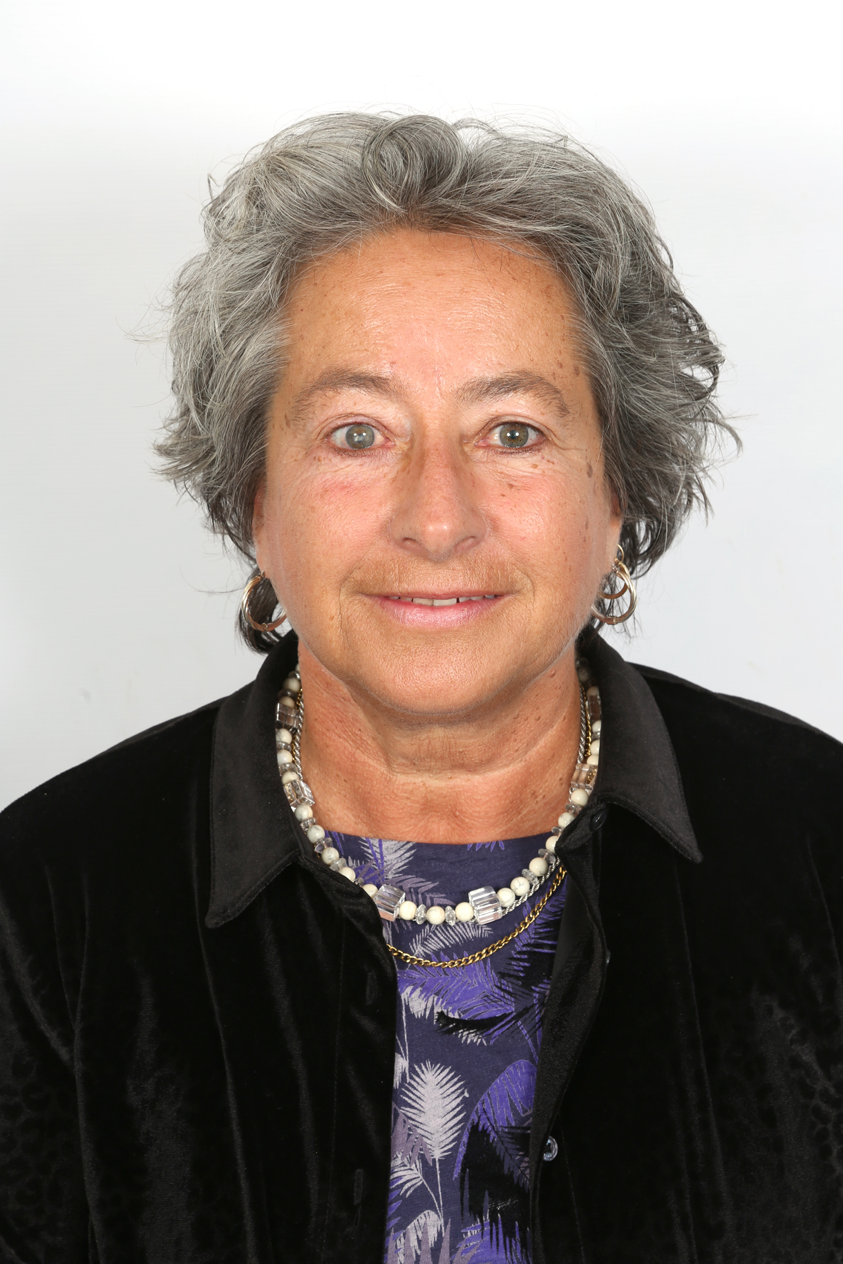 Monmouthshire: Share your concerns about flooding and help shape future ...