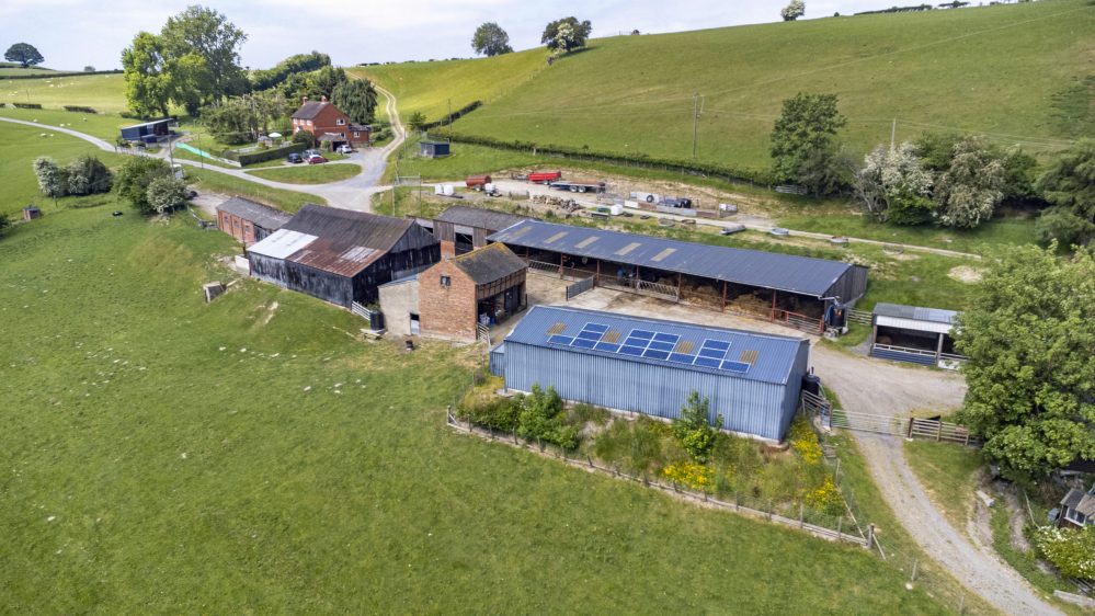 Productive Mid Wales livestock farm in idyllic location has £1.75m ...