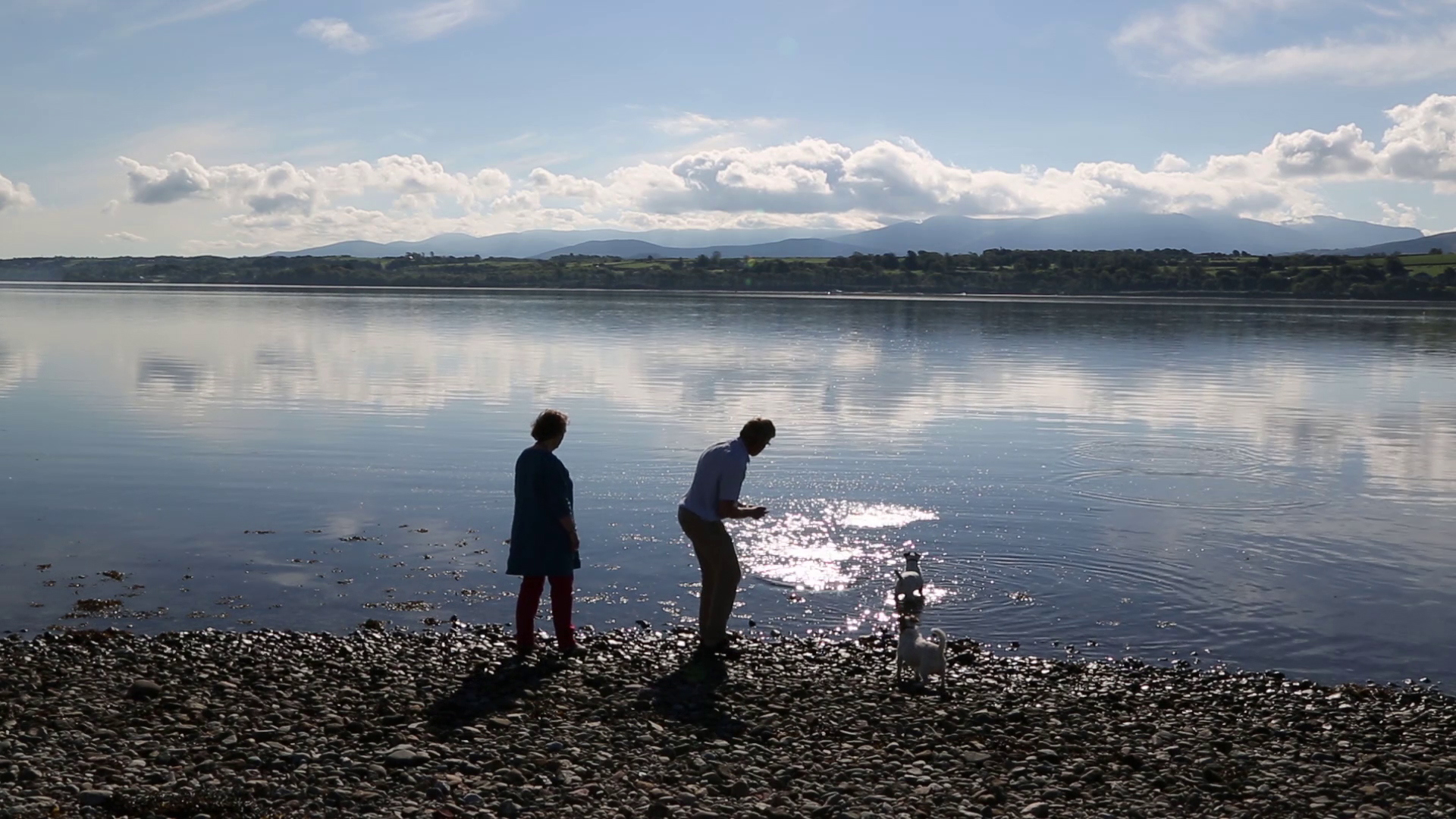 Halen Môn awarded B Corp status - Herald.Wales