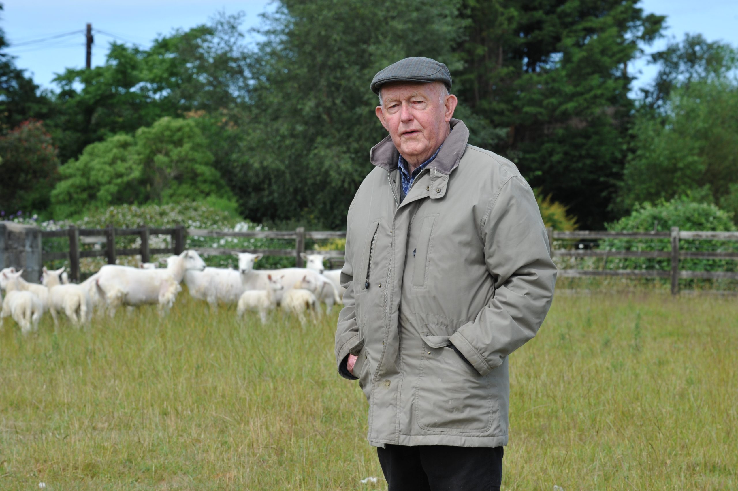 Agrisgôp helps sheep farmers on quest to advance flock genetics ...