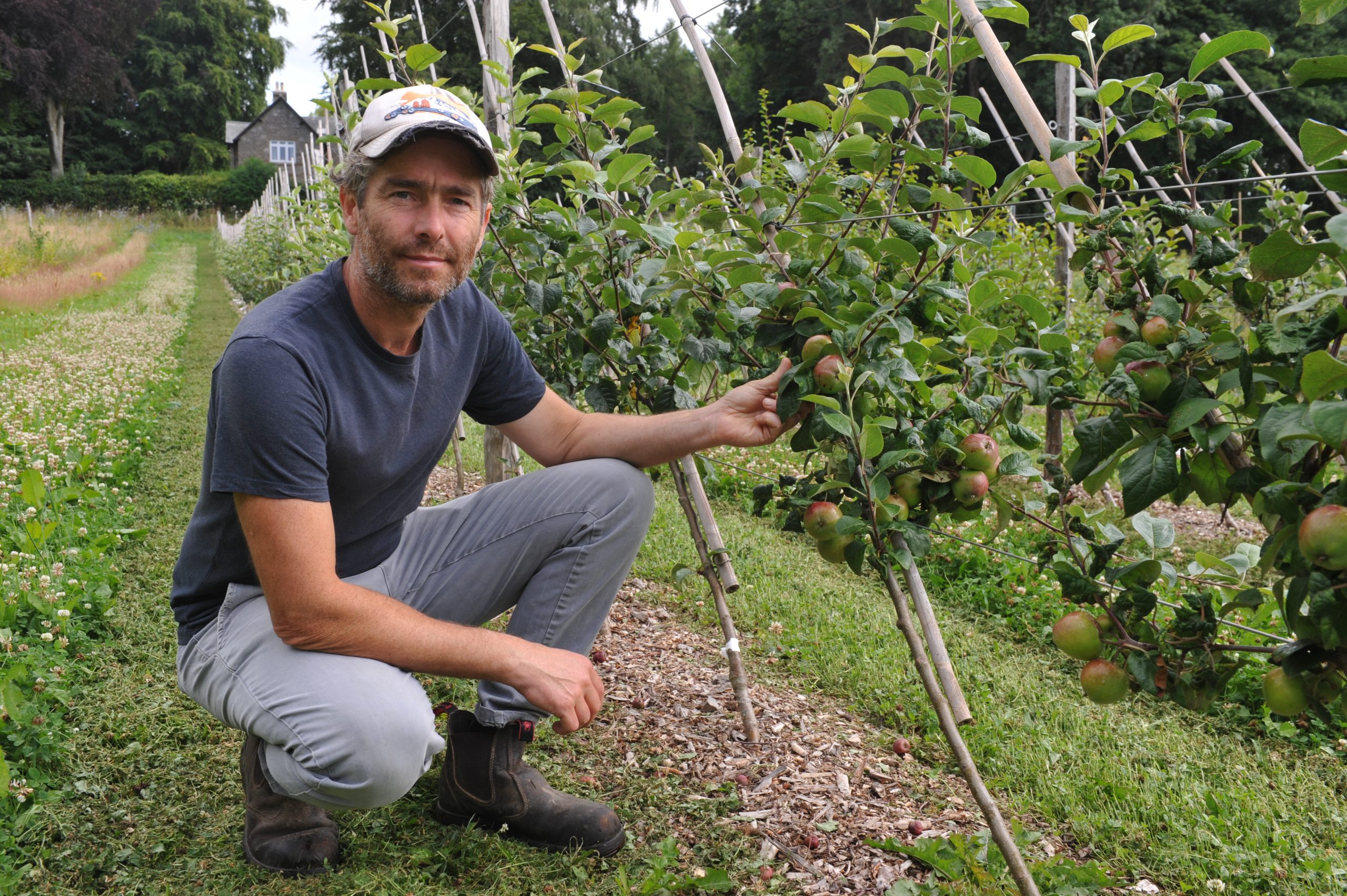 Welsh fruit tree grower uses power of nature to control pests - Herald ...
