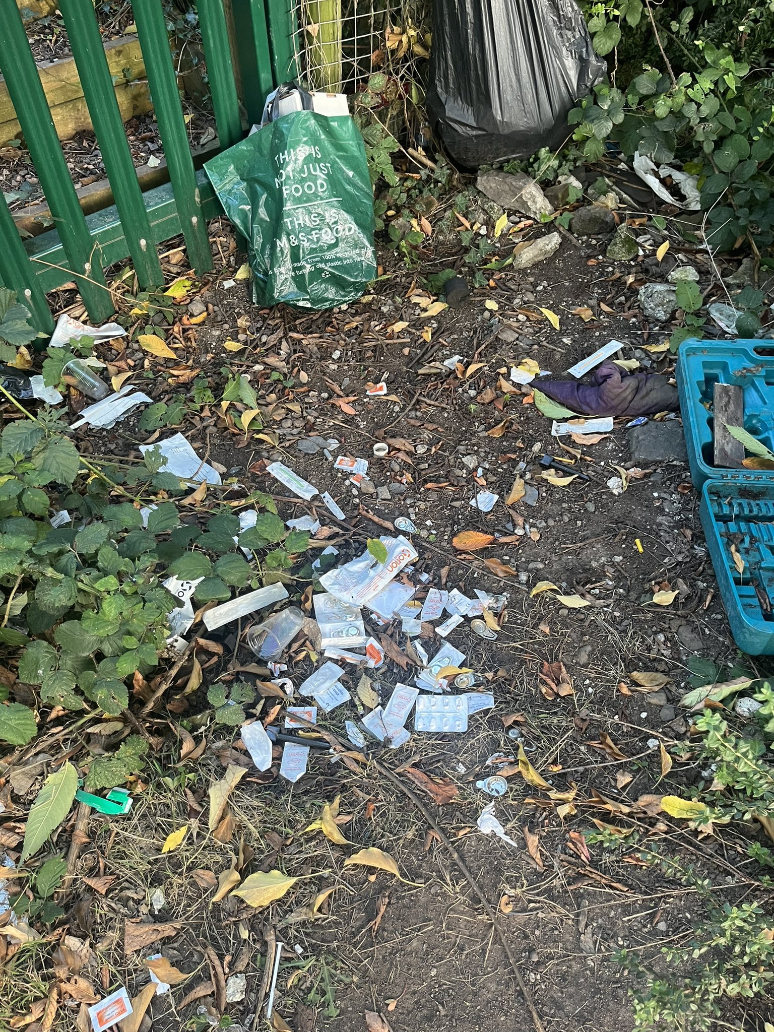 Concerns raised about needles being littered outside school near ...