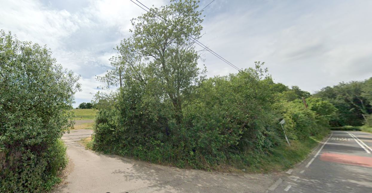 Dogs set to be banned from two Flintshire areas in updated PSPO ...