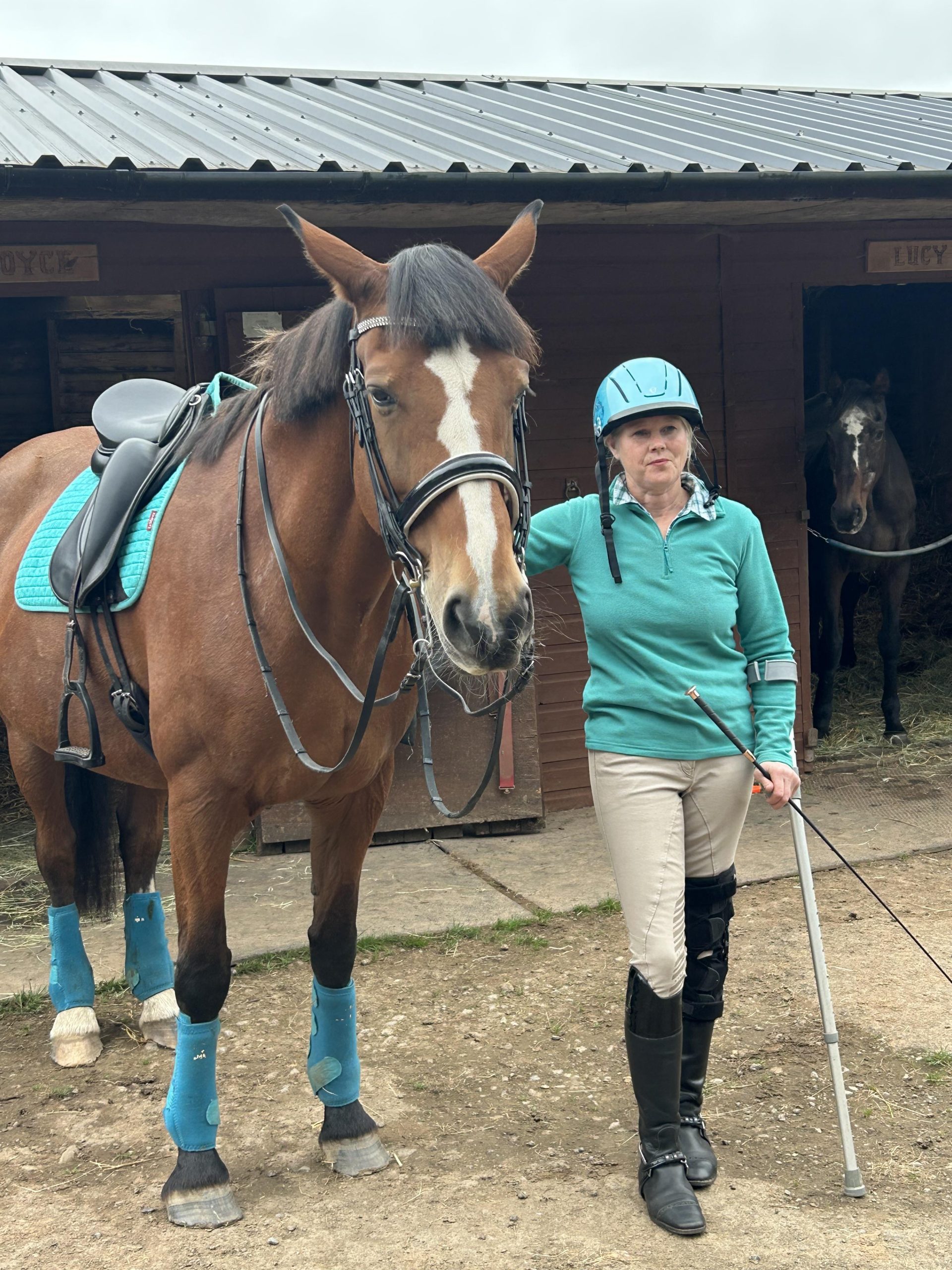 Persistent pain no match for Paralympic dressage horse rider - Herald.Wales