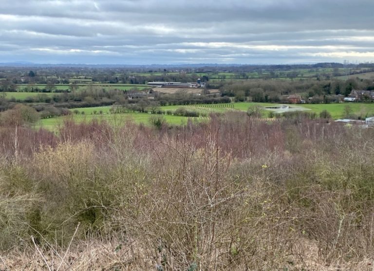 Plans to create Covid-19 memorial woodland in Ruabon approved - Herald ...