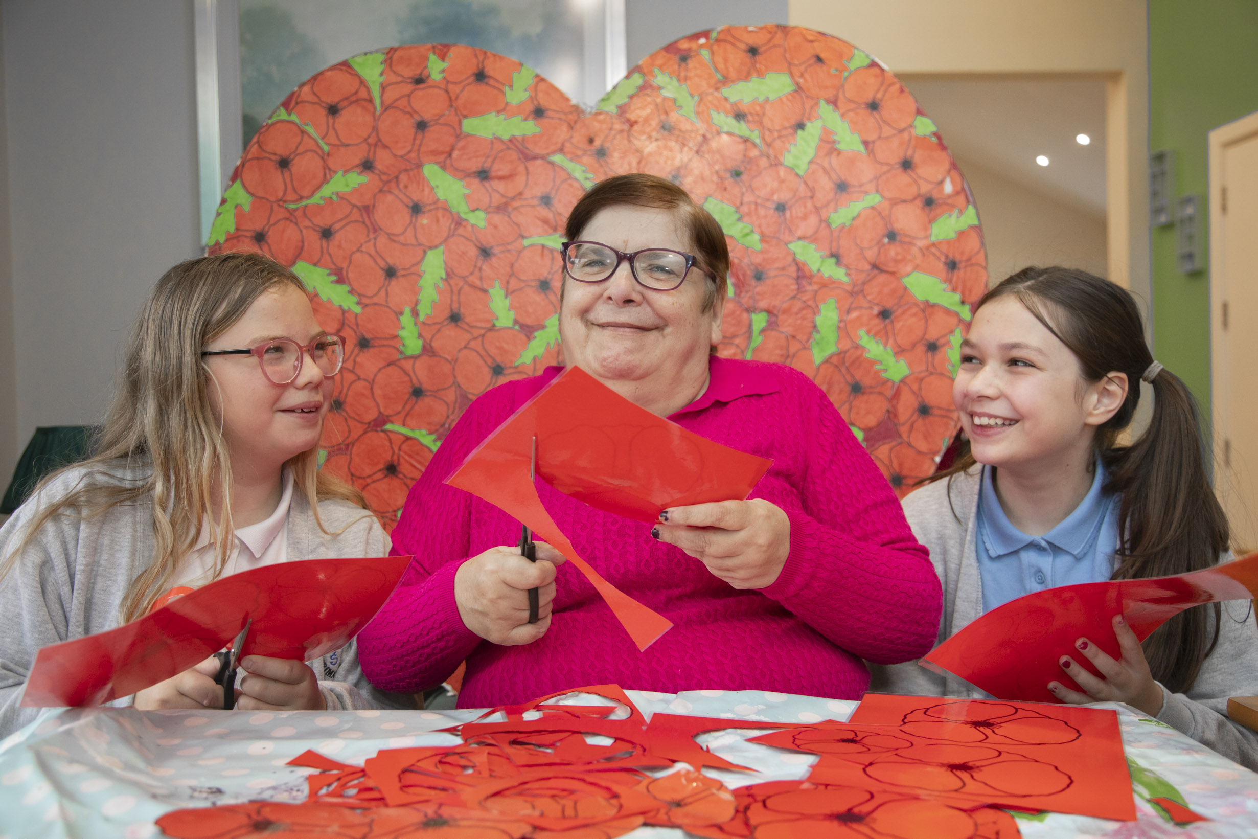 Spectacular poppy project bridges generation gap - Herald.Wales