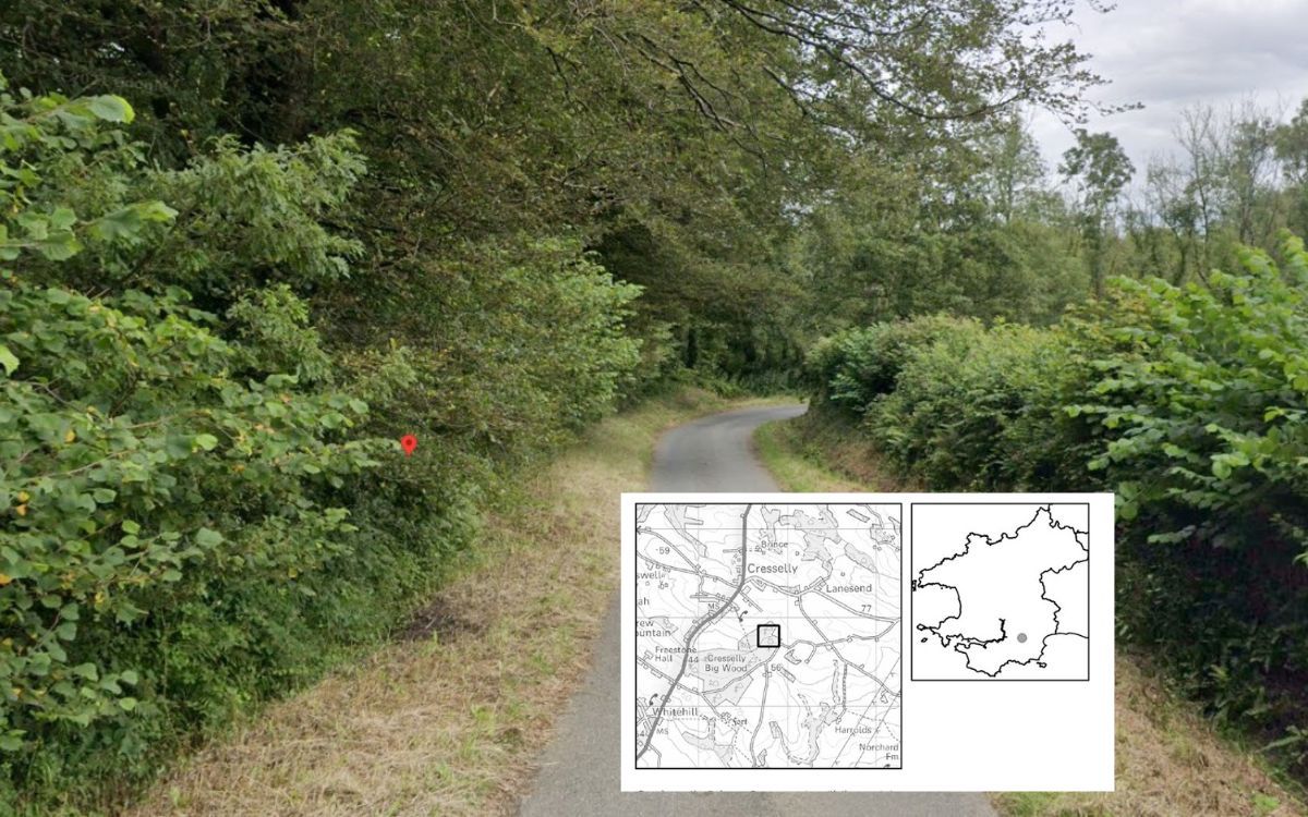 One Planet Development scheme in Pembrokeshire wood approved - Herald.Wales