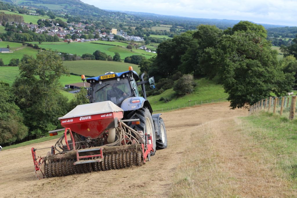 Can multi species leys help Welsh farm produce more summer fodder ...