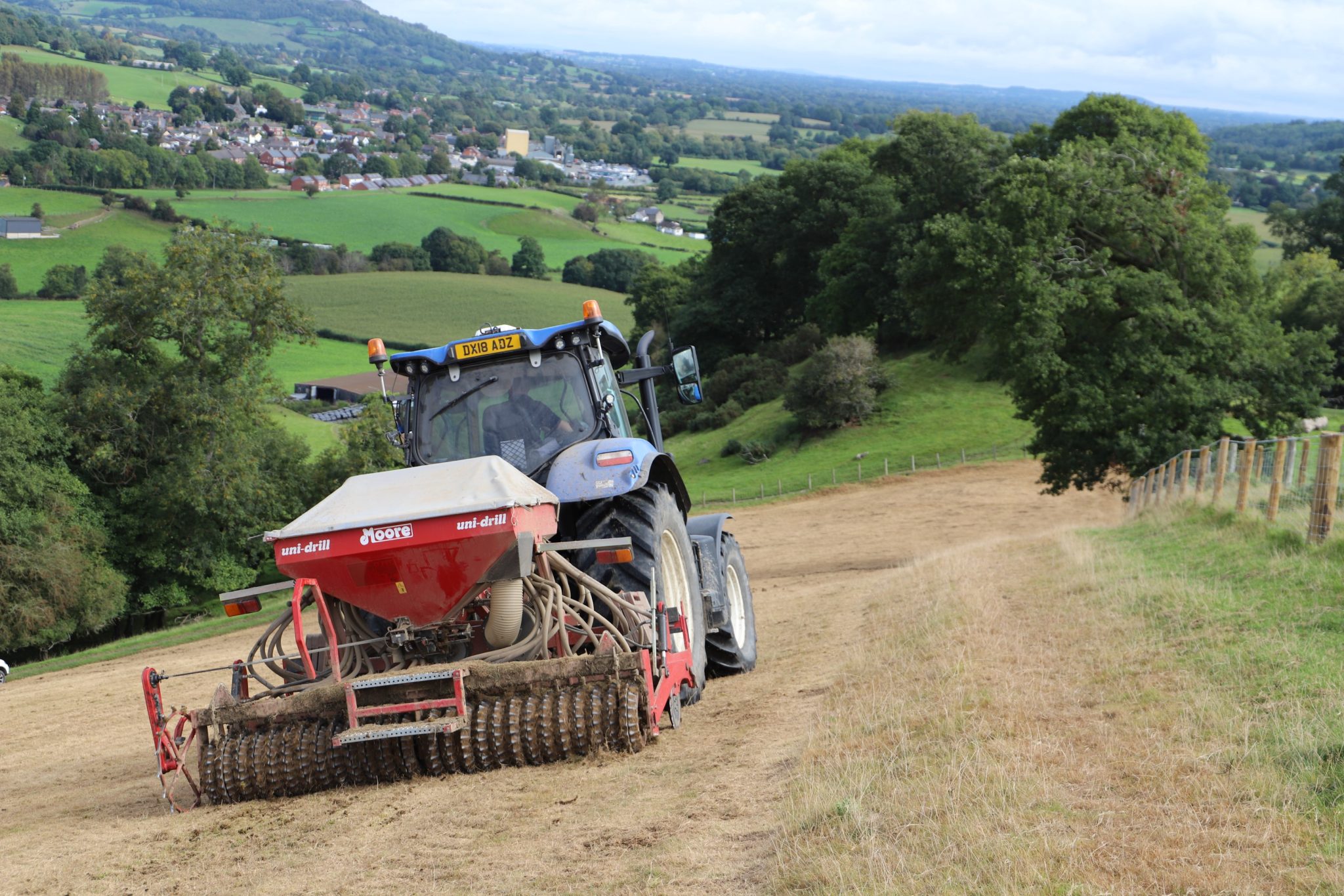 Can multi species leys help Welsh farm produce more summer fodder ...
