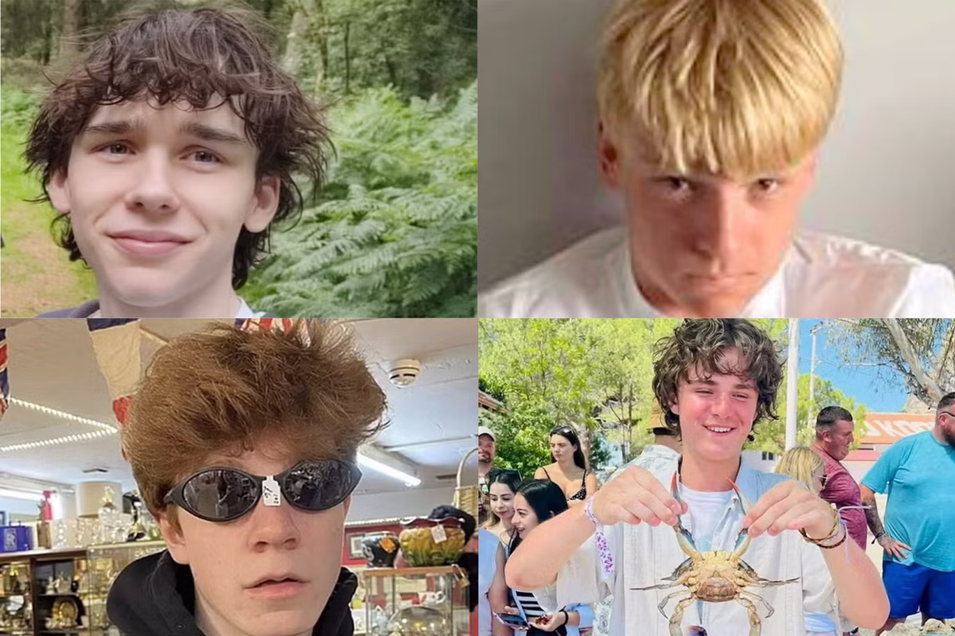 Friend of teenager killed in North Wales crash escaped tragedy after ...