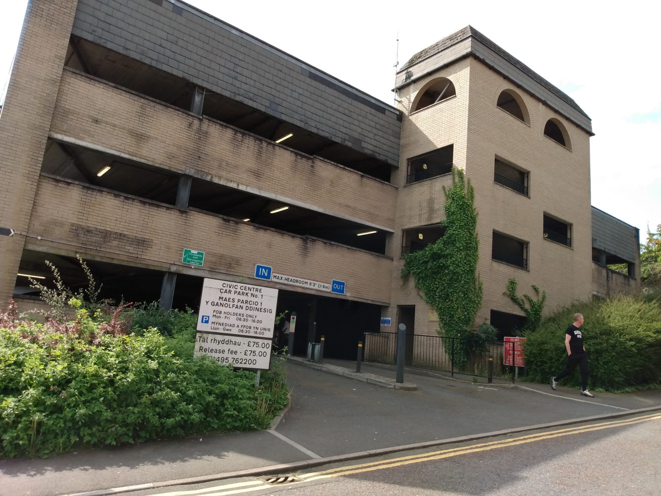 New trees to be planted in Pontypool popular park as part of car park ...