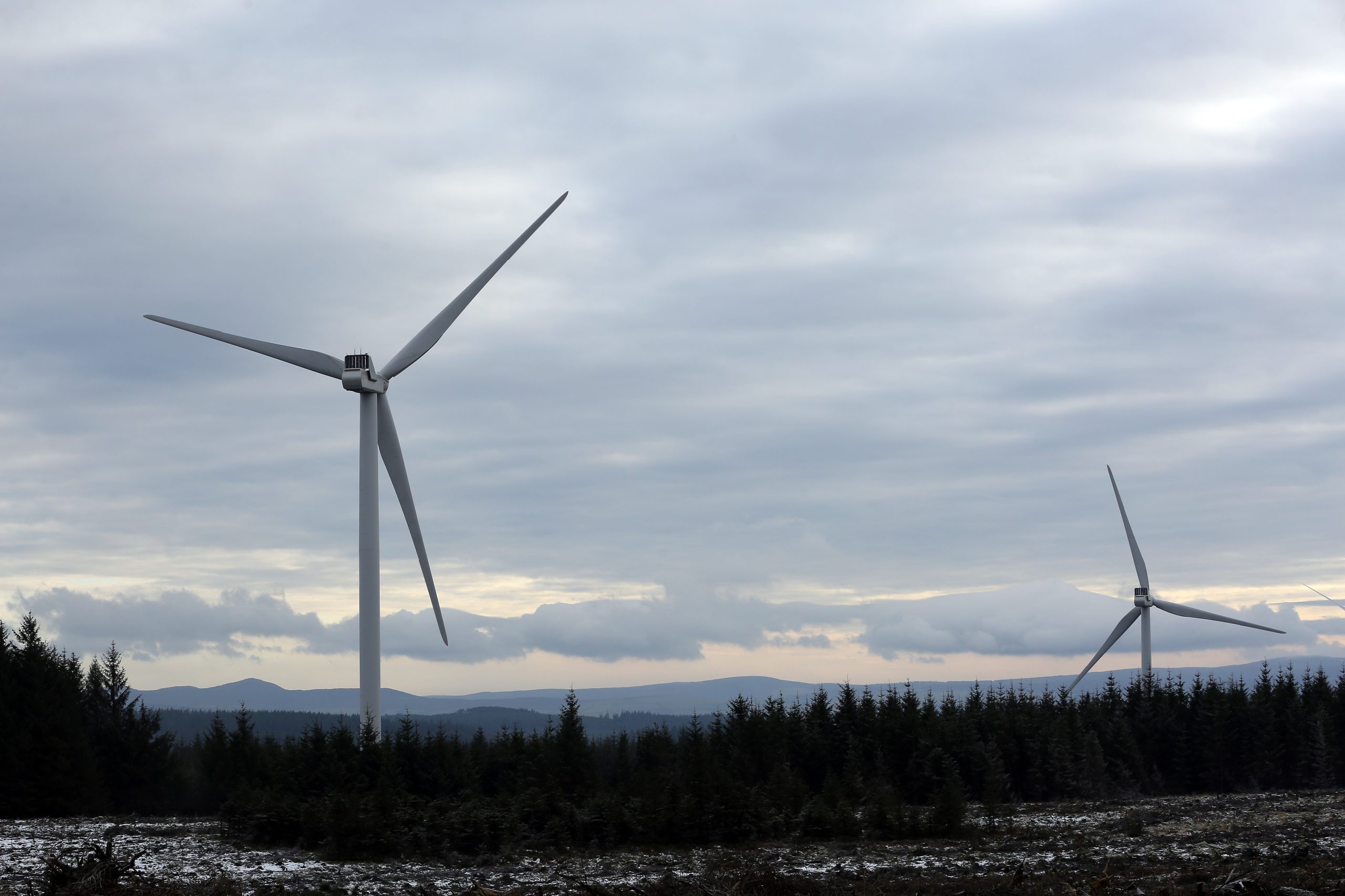 Formal Public Consultation launched for up to 60 MW Alwen Forest Wind ...