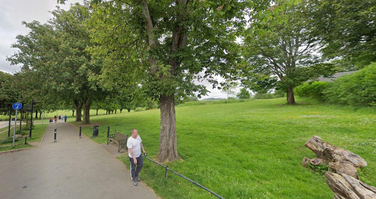 Caerphilly Council set to reduce grass cutting to boost biodiversity ...