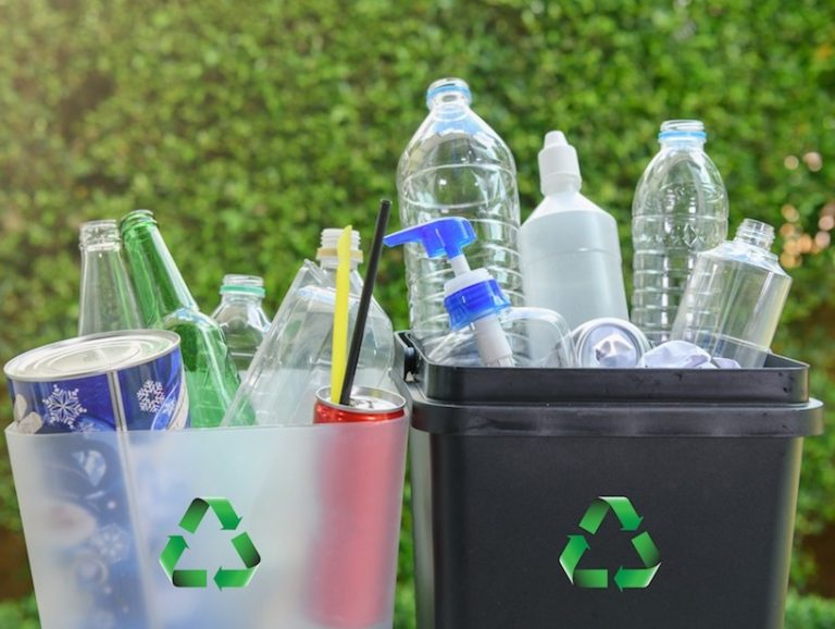 Senedd approves new workplace recycling legislation - Herald.Wales